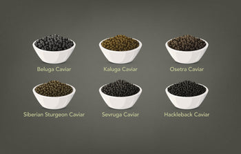 Understanding sturgeon caviar types – Black Caviar USA