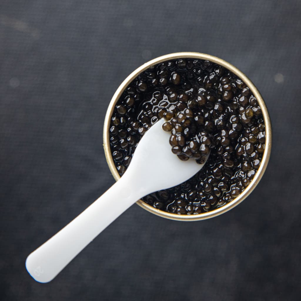 Osetra Caviar – tagged "aquatir" – Black Caviar USA
