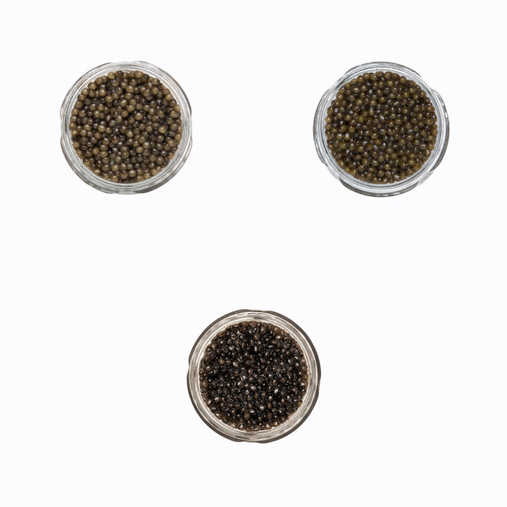 Caviar Tasting Sets – Black Caviar USA